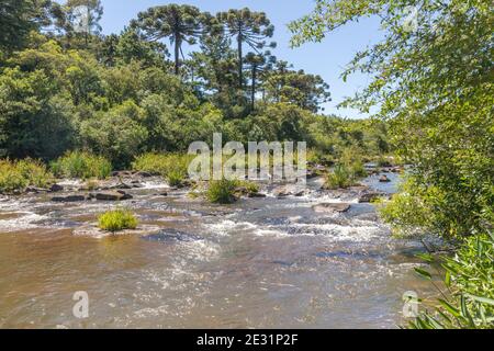 Cai river with forest and rocks, São Francisco de Paula, Rio Grande do ...