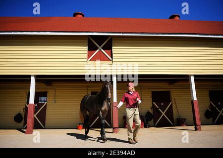 Atmosphere at the Walnut Hall Farm in Lexington, Kentuky, USA on ...