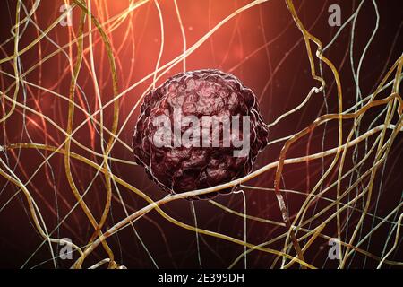 Cancer or tumor cell within fibrous tissue close-up 3D rendering ...