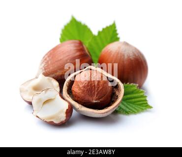 Hazelnuts isolated on white backgrounds Stock Photo - Alamy