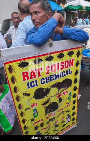 Street Rats, Mumbai, India Stock Photo - Alamy
