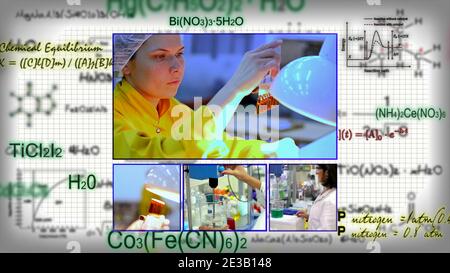 Collage of Photographs Showing Researchers Working in a Laboratory Over ...