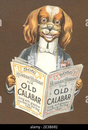 Chromolithographed die cut advertisement for Old Calabar Parrot food ...