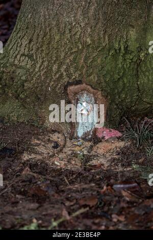 A Fantasy doorway at the base of a large tree in Abington Park, creator ...