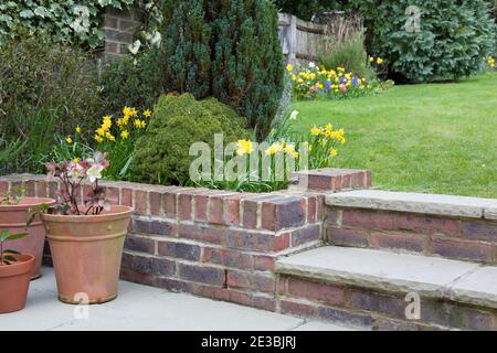 Grass steps with a border of flowers growing along the terrace in the ...
