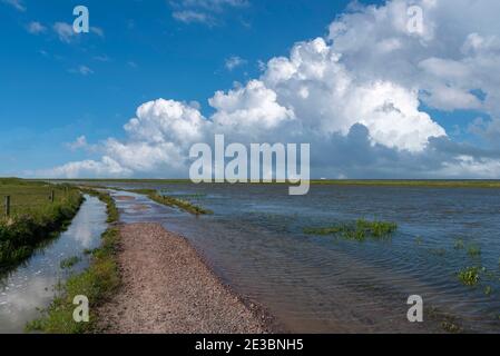 Coming tide in the salt marshes, Fedderwardersiel, Lower Saxony ...