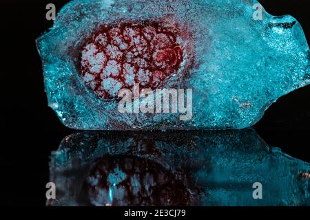 Melting ice cubes on dark background Stock Photo - Alamy