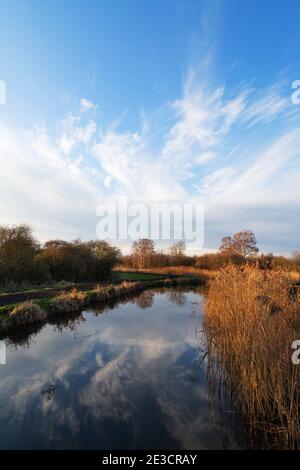Fen Landscape, Cambridgeshire Fens, England, March 2013. Creepy trees a ...