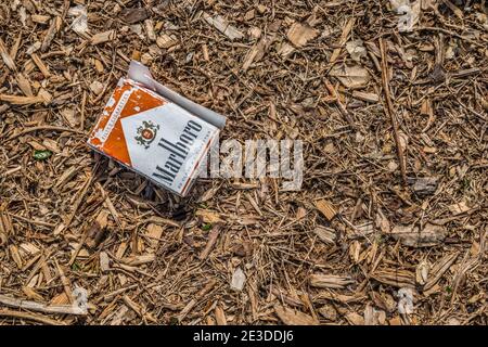 Dirty cigarette pack trash discarded on rocky sea coast ecosystem ...