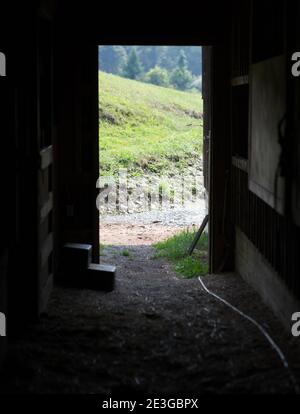 Summer landscape through barn door Stock Photo - Alamy