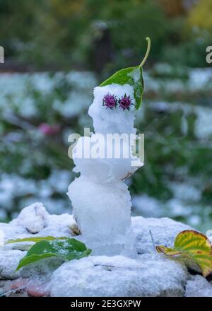 first snow, little snowman in the garden, green leaf hat, snowy garden ...