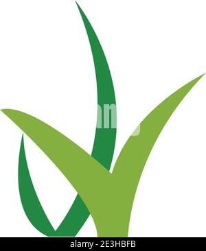 Graas Logo Template vector symbol nature Stock Vector Image & Art - Alamy