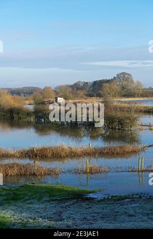 Wheldrake Ings nature reserve, North Yorkshire, England UK Stock Photo ...