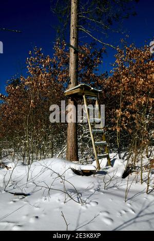 Deer hunters stand covered in snow Stock Photo - Alamy
