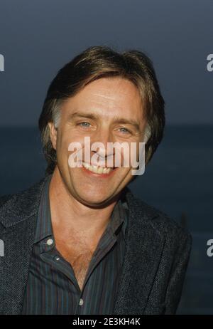 JOEL HIGGINS Credit: Ralph Dominguez/MediaPunch Stock Photo - Alamy