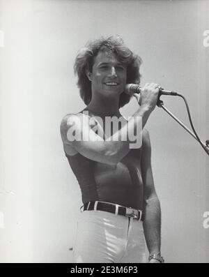 ANDY GIBB Credit: Ralph Dominguez/MediaPunch Stock Photo - Alamy