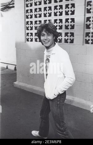 ANDY GIBB Credit: Ralph Dominguez/MediaPunch Stock Photo - Alamy