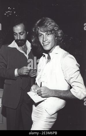 ANDY GIBB Credit: Ralph Dominguez/MediaPunch Stock Photo - Alamy