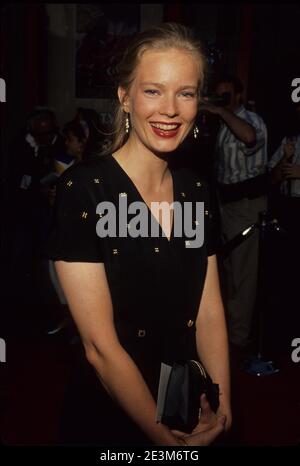 AMY STOCK 1991 Credit: Ralph Dominguez/MediaPunch Stock Photo - Alamy