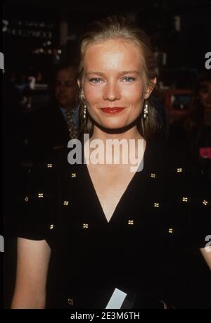 AMY STOCK 1991 Credit: Ralph Dominguez/MediaPunch Stock Photo - Alamy