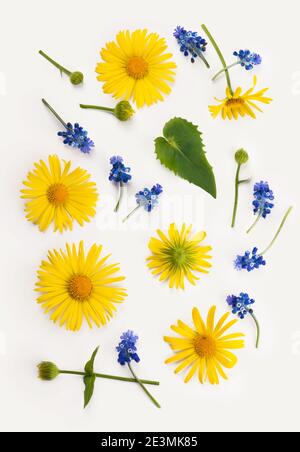 Flowers composition. Frame made of hyacinth flowers on pink background ...