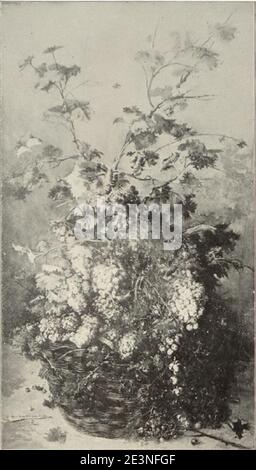 Maria Luisa de la Riva y Callol de Muñoz Still life with roses Stock ...