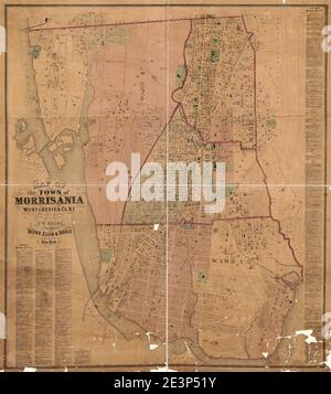Map of the town of Morrisania, Westchester Co. N.Y. Cartographic. Maps ...