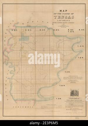 Map of the Parish of Tensas, Louisiana : from United States Surveys ...