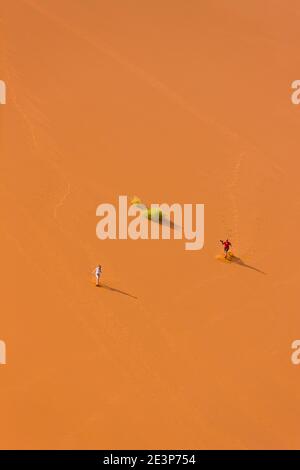 Duna 45 Desierto Namib Namibia Africa Stock Photo - Alamy