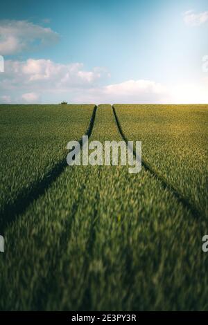 Beautiful Moravian Tuscany landscape Stock Photo - Alamy