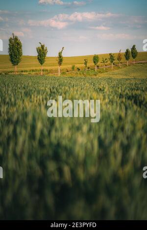 Beautiful Moravian Tuscany landscape Stock Photo - Alamy