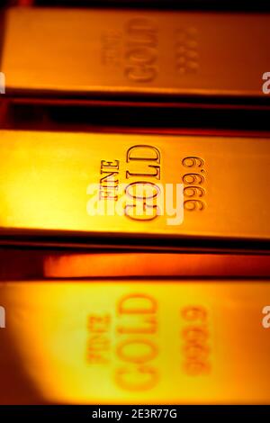 Portrait of the Bullion high quality photo Stock Photo - Alamy