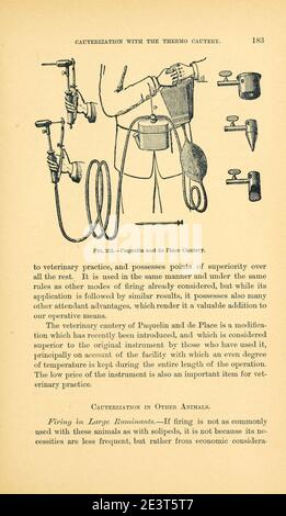Manual of operative veterinary surgery (Page 60) BHL20475420 Stock ...