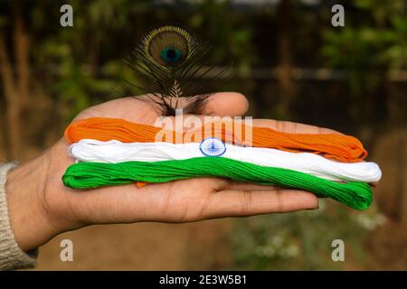 India embroidery flag. Indian emblem stitched fabric. Embroidered coat ...