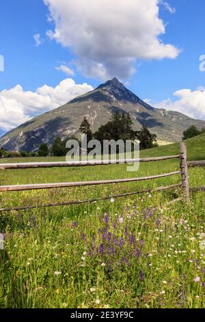 Alpine meadow in the Austrian mountains Bad Hofgastein Schlossalm ...
