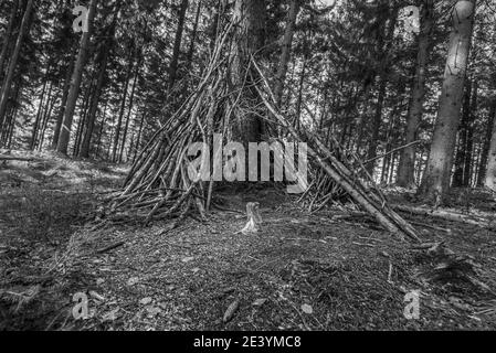 Campground at the black forest in Germany Stock Photo - Alamy