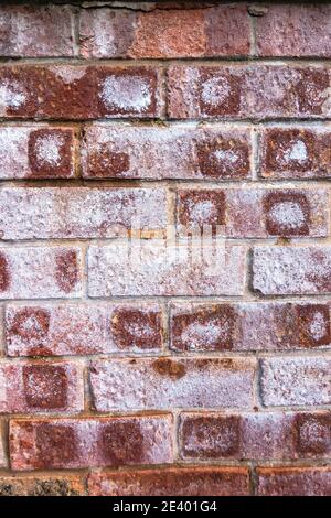 Efflorescence crystalline salt deposits on porous brick wall Stock ...