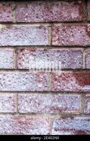 Efflorescence crystalline salt deposits on porous brick wall Stock ...