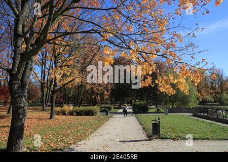 Europe autumn colors. Golden Polish autumn in city park of Bytom ...