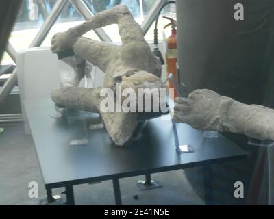 Plaster casts of a victim of the eruption of the volcano Vesuvius that ...