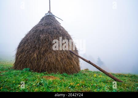 A large wet haystack stands on a green field amidst thick gray fog in ...