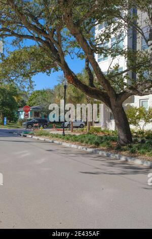 New gentrified housing and older architecture on Merrow Street on the ...