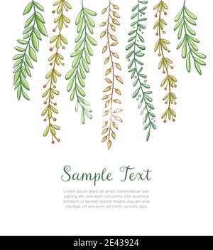 Dangling plants background. Hand drawn floral background isolated on ...