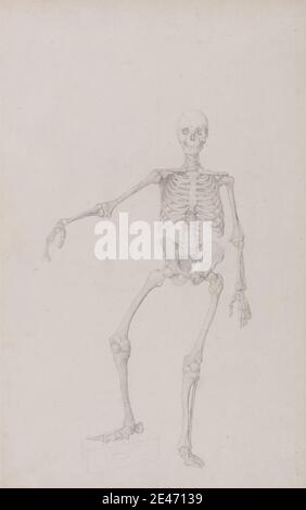 Human Skeleton, Anterior View, Right Arm Outstretched Stock Photo - Alamy