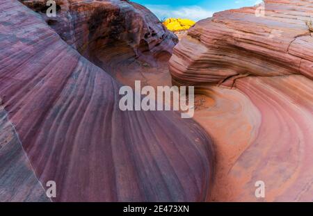 Pastel Canyon On The Kaolin Wash, Valley of Fire State Park, Nevada ...