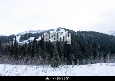 Multiple pictures of Utah Landscape Stock Photo - Alamy