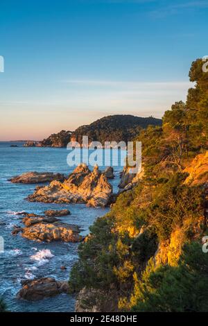 ILLA DE BOT PUNTA DE S’AGULLA LLORET DE MAR COSTA BRAVA CATALONIA SPAIN ...