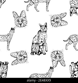Vector seamless pattern of serval cat skin. Background design, textile ...