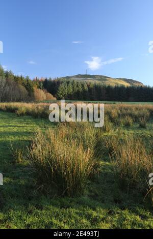 Straiton, Ayrshire, Scotland, UK. The walk and view form the Hunter ...