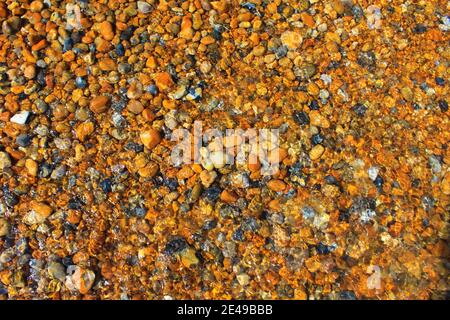 Colorful pebbles at the shingle beach of Dover beachfront,Kent,UK Stock ...